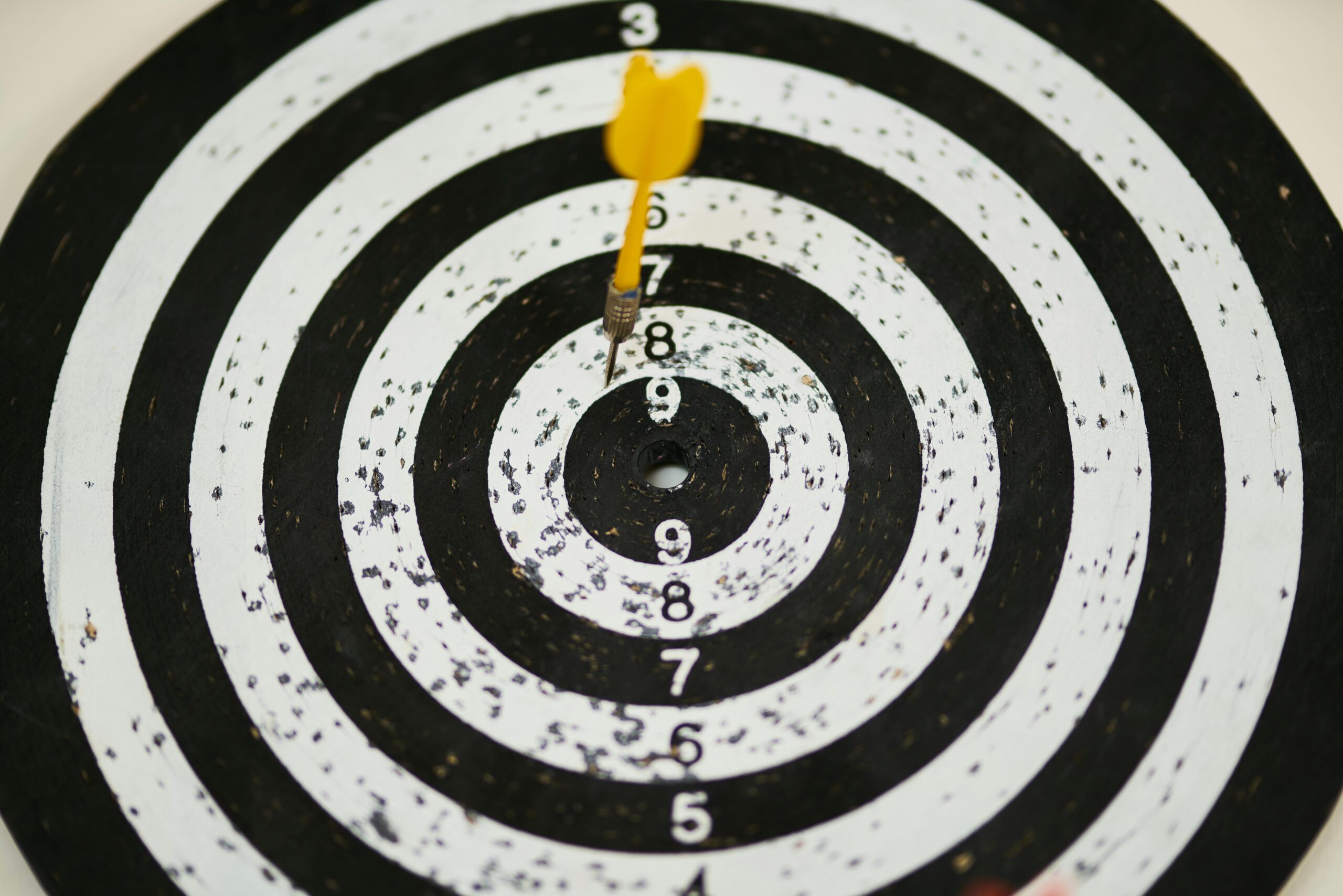 Finding Your Niche: Choosing the Right Agencies and Opportunities to ...